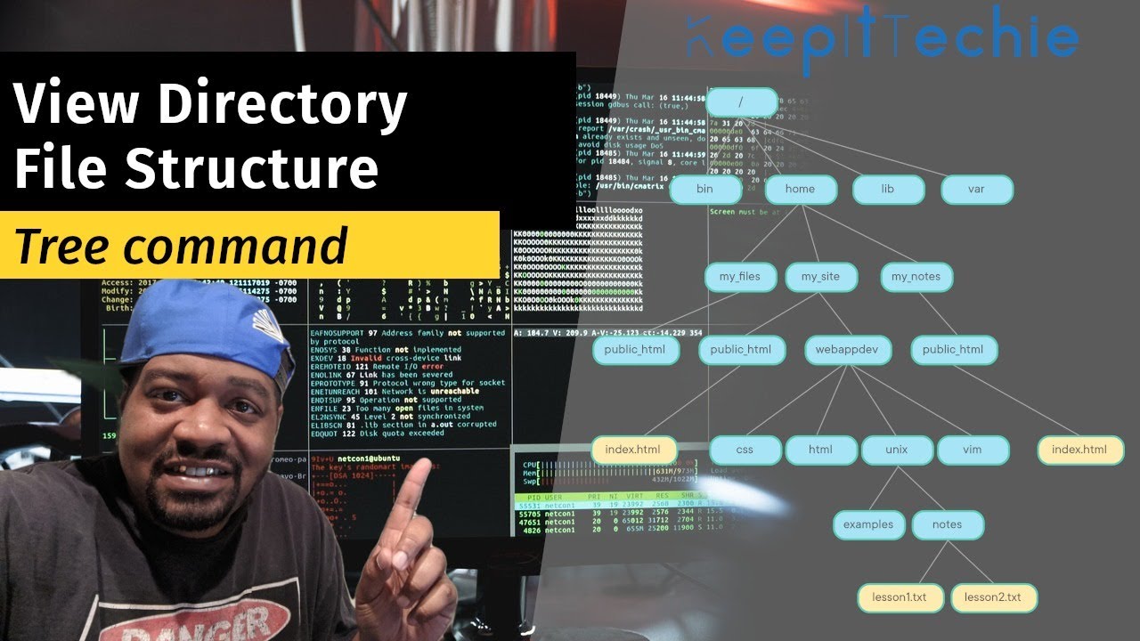 Tree Command | View Directory File Structure on Linux