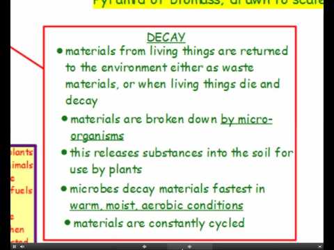 AQA GCSE SCIENCE Unit 1Biology - Energy and biomass in Ecosystems