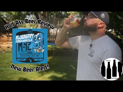 Blueberry Creamsicle M-43 | Old Nation Brewing Company | Craft Beer Review