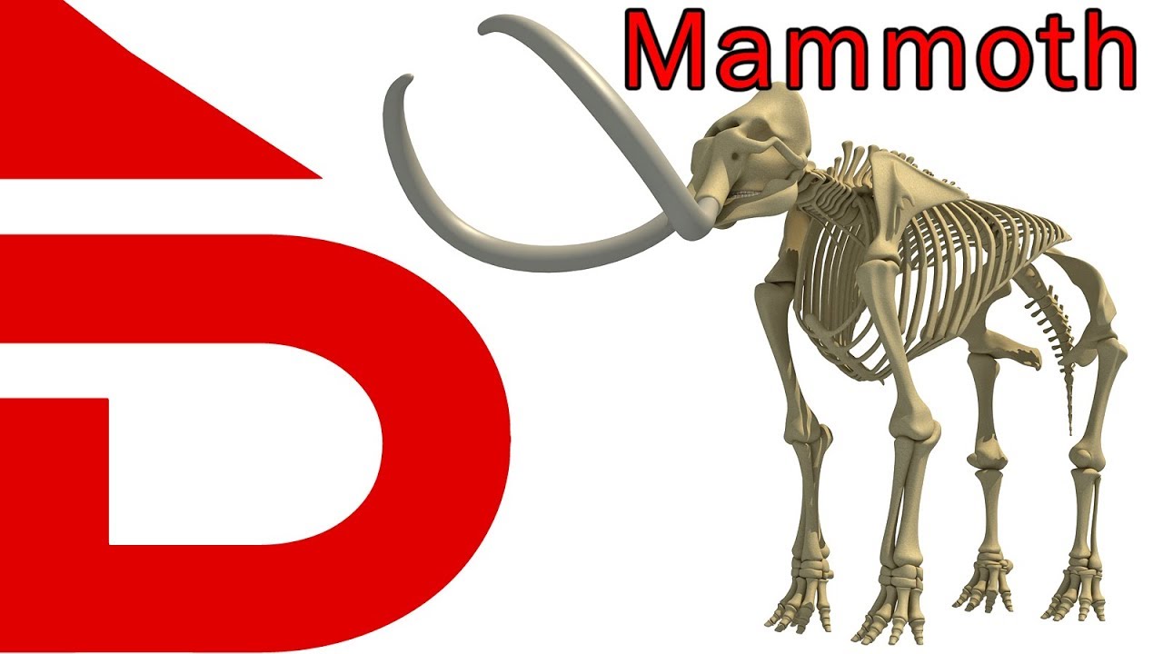 Mammoth Skeleton 3D Model