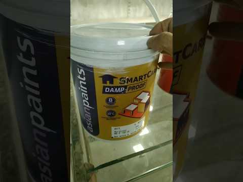 Asian Paints Damp Proof || Waterproofing