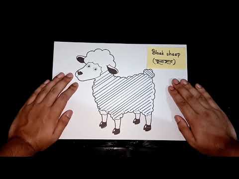 Black Sheep | Idioms and Phrases with Picture | BCS | Banks | Admission