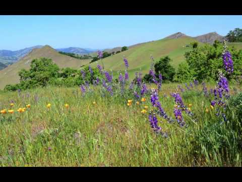 Sunol - Flag Hill