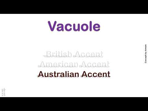 Vacuole How to Pronounce Vacuole in Australian Accent, British Accent, American Accent ?