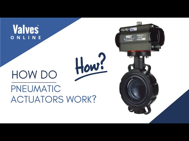 Pneumatic Rotary Actuators - NELES PNEUMATIC ACTUATOR Trader - Retailer ...