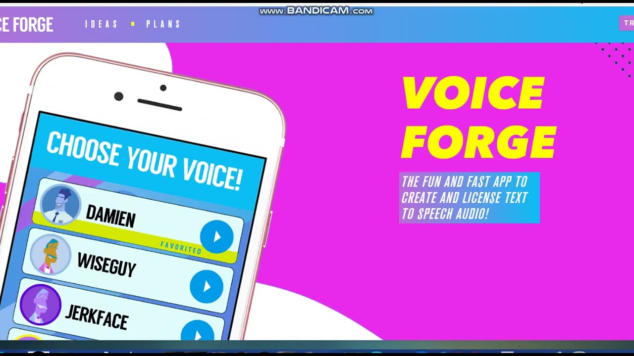Kidaroo In Scratch & VoiceForge
