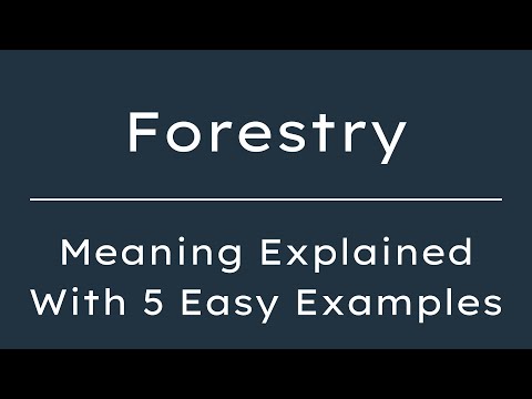 What Does Forestry Mean? Forestry Meaning in English With 5 Example Sentences