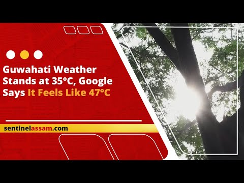 Guwahati Weather Stands at 35°C, Google Says It Feels Like 47°C