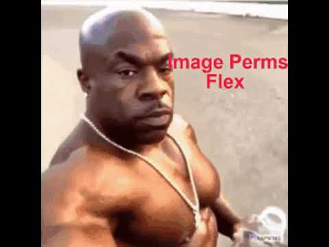 image perm flex
