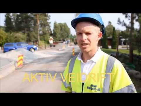 Hva bruker Aktiv Veidrift AS skjema og bilde modulen i SmartDok til?