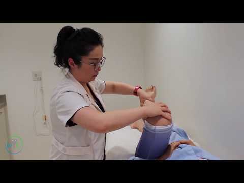 Dr. Bairu Wang, R.Ac.