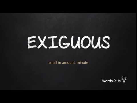 How to Pronounce EXIGUOUS in American English