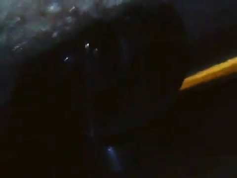 Video Recording by Vividia WiFi Inspection Camera