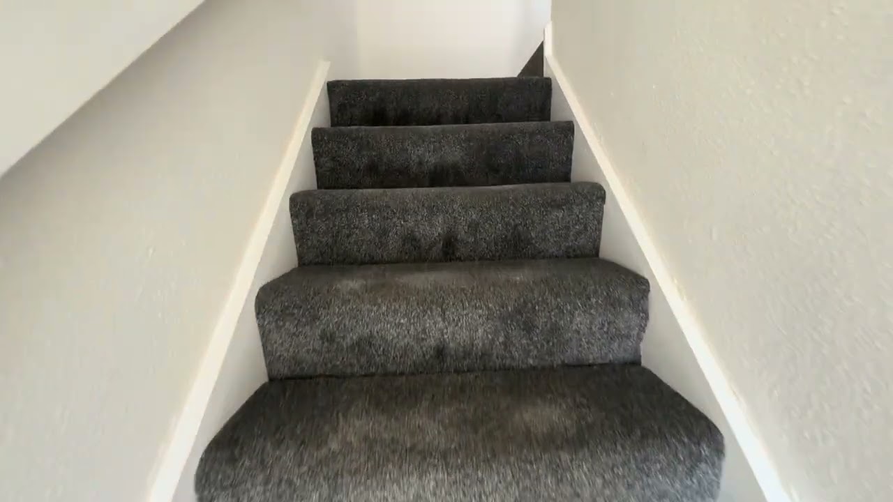 7 Clogher Road Walk Through