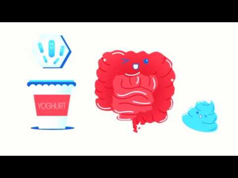 What Makes Yogurt Urdu | دہی کیوں جم جاتی ہے