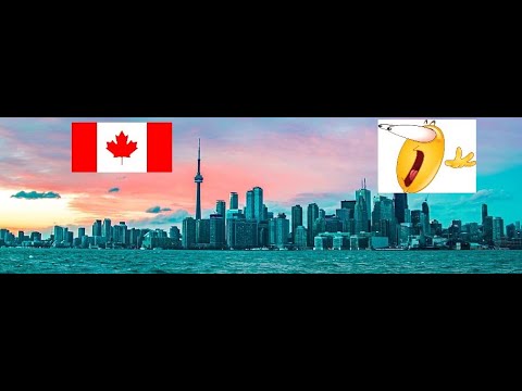 2024 TOP 10 UNIVERSITIES IN CANADA ACCORDING TO QS RANKING 2024 (With Acceptance Rate)