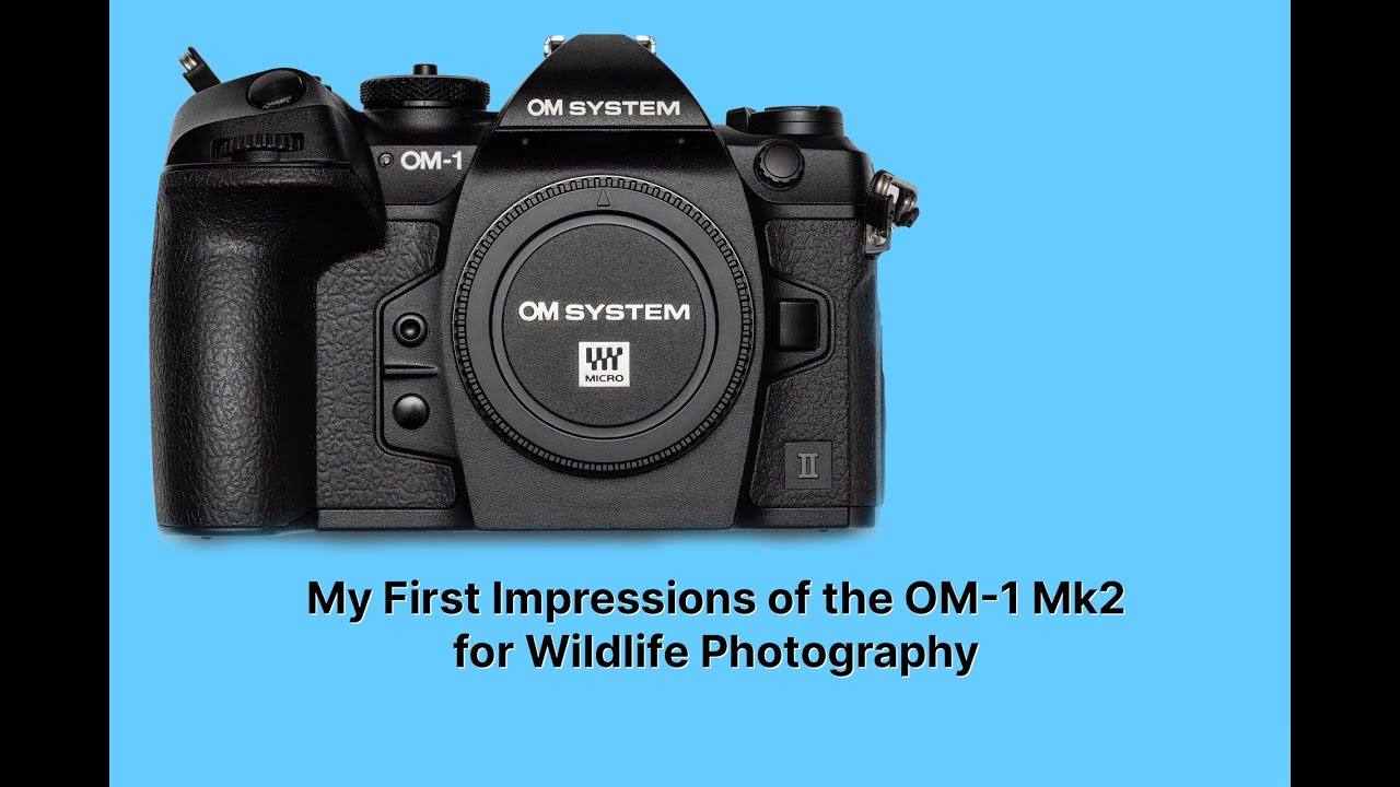 a bit of everything… – 43 Rumors