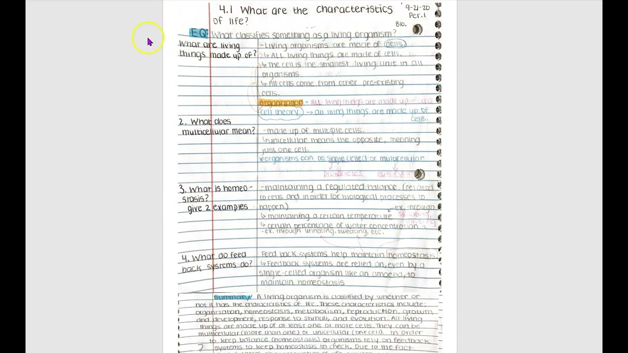 AVID Focused Note Taking Process