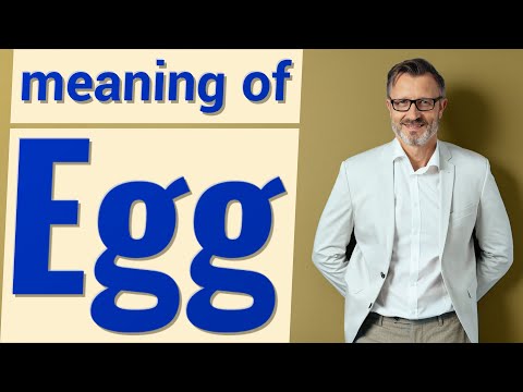 Egg | Meaning of egg