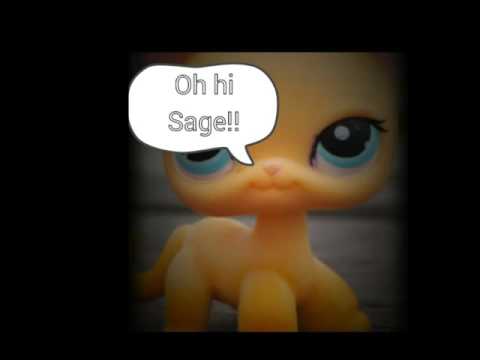 Lps Popular
