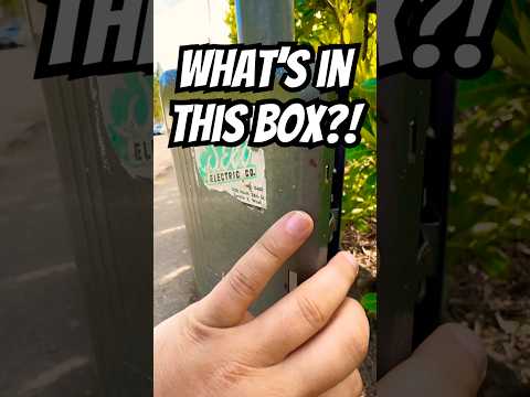 Would you risk opening this ‘utility box’ to find the hidden Geocache? BE CAREFUL!
