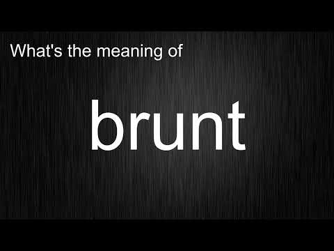 What's the meaning of "brunt", How to pronounce brunt?