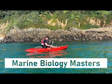 Marine Biology in Scotland & the Channel Islands - Masters Degree in Ecology & Environmental Biology