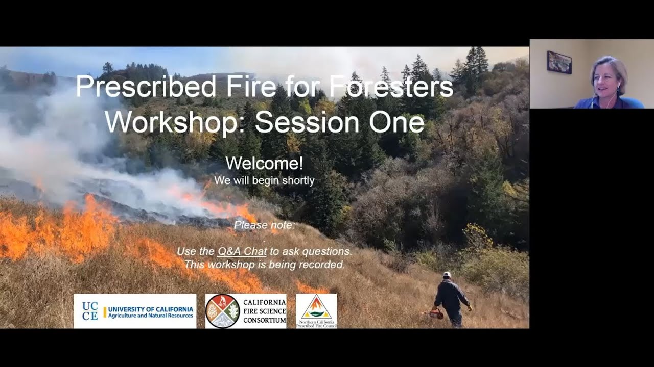 Prescribed Fire for Foresters Q&A Webinar  - Session 1