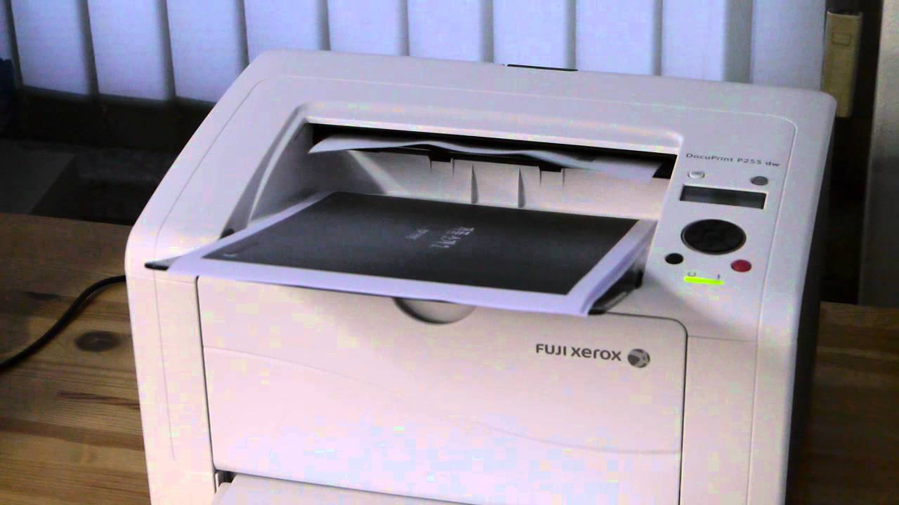 Docuprint P255 dw : PDF Both Side Page Print