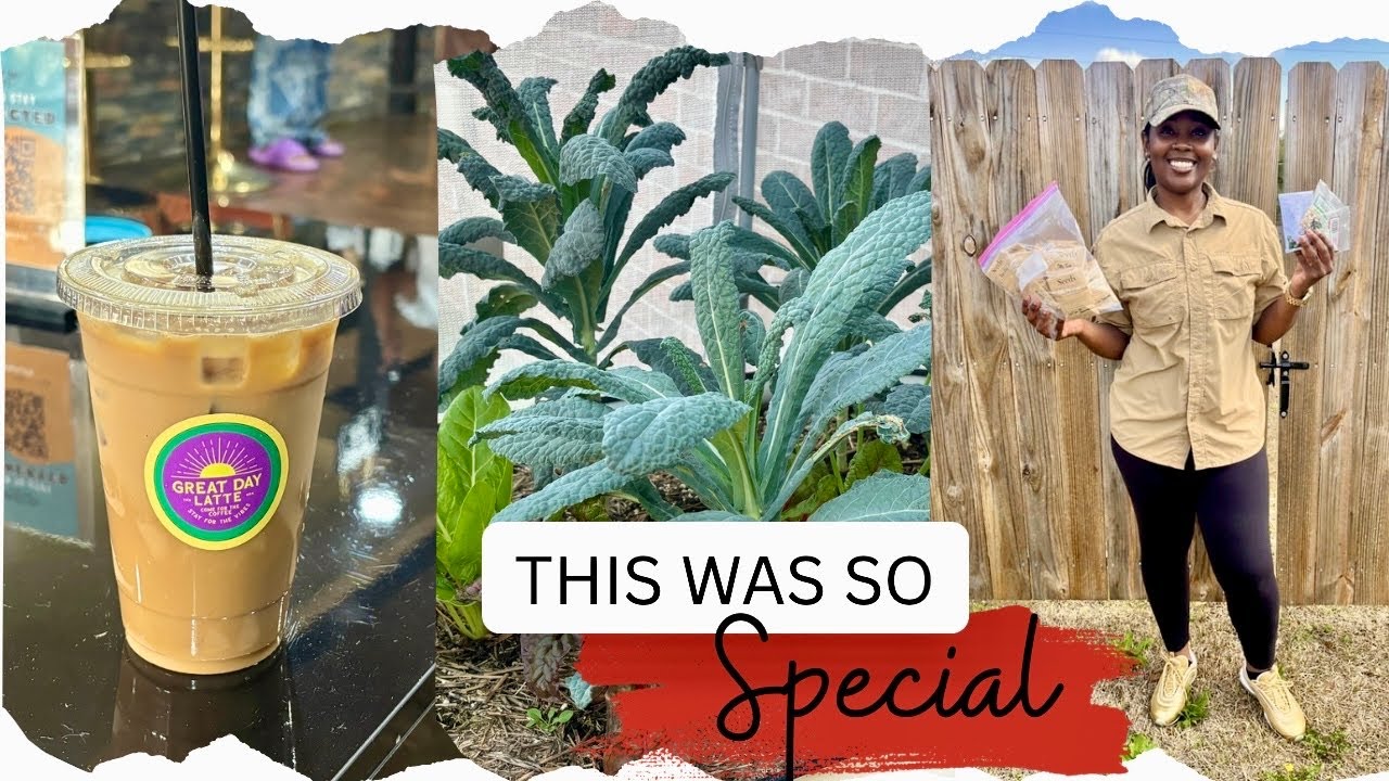 MY FIRST SEED SWAP EVENT | LOOK WHAT’S ALREADY SPROUTING 