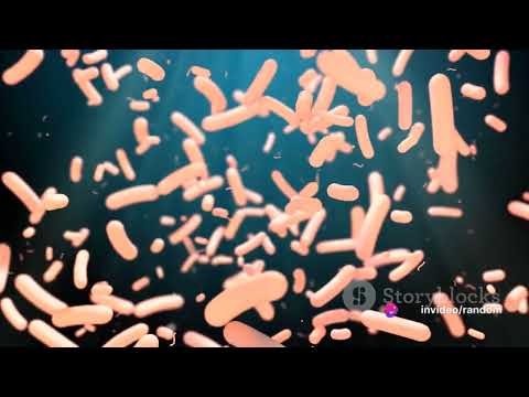 Endosymbiosis Unveiled: Algae and Bacteria Merge in Lab
