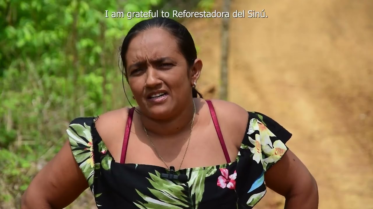 Fundación REFOSINÚ - Gestión 2024 - English version