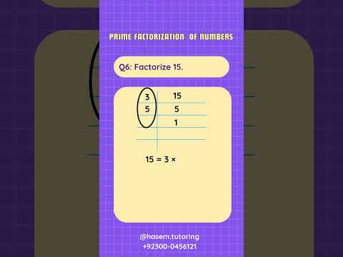 MIND-BLOWING Division Secrets Revealed For Prime Factorization of 15