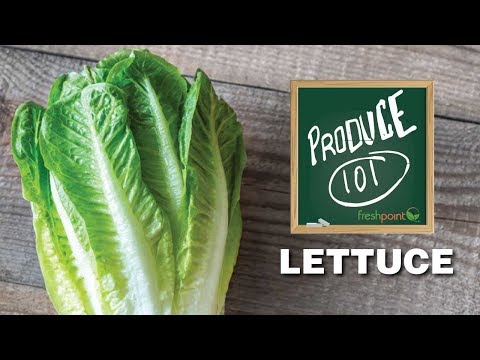 Produce 101: Lettuce