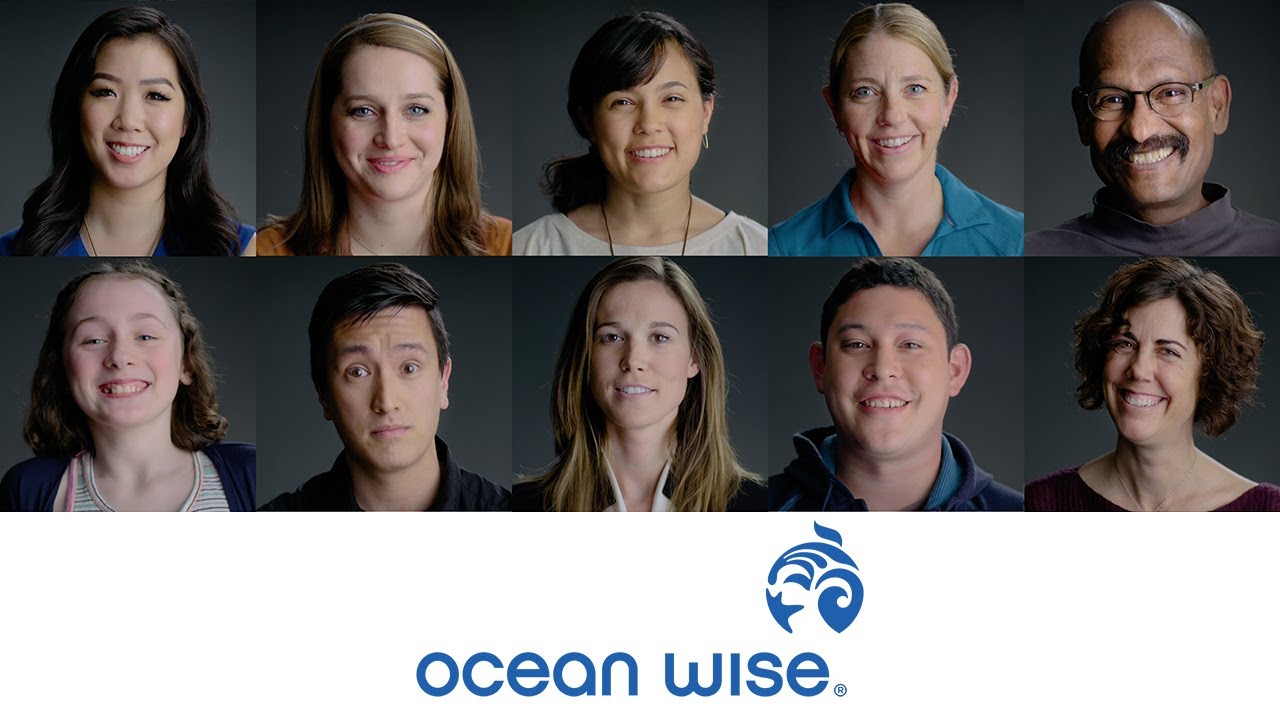 We Are Ocean Wise