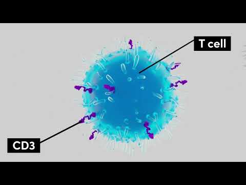 Tarlatamab Mechanism of Action