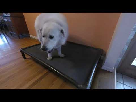 Kuranda beds