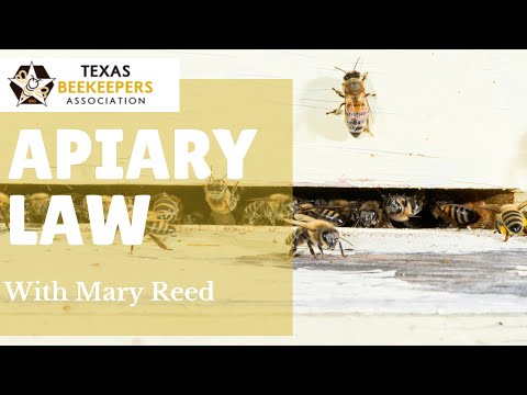 Texas Beekeeping & Apiary Law with Mary Reed