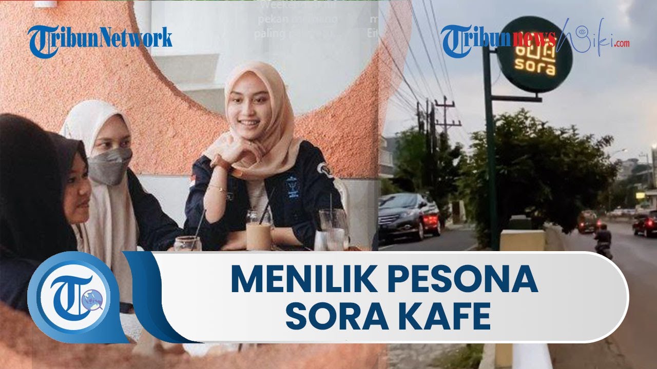 Menilik Pesona Sora Kafe, Ialah Tempat Minum Kopi dan Nongkrong yang Terletak di Semarang ...
