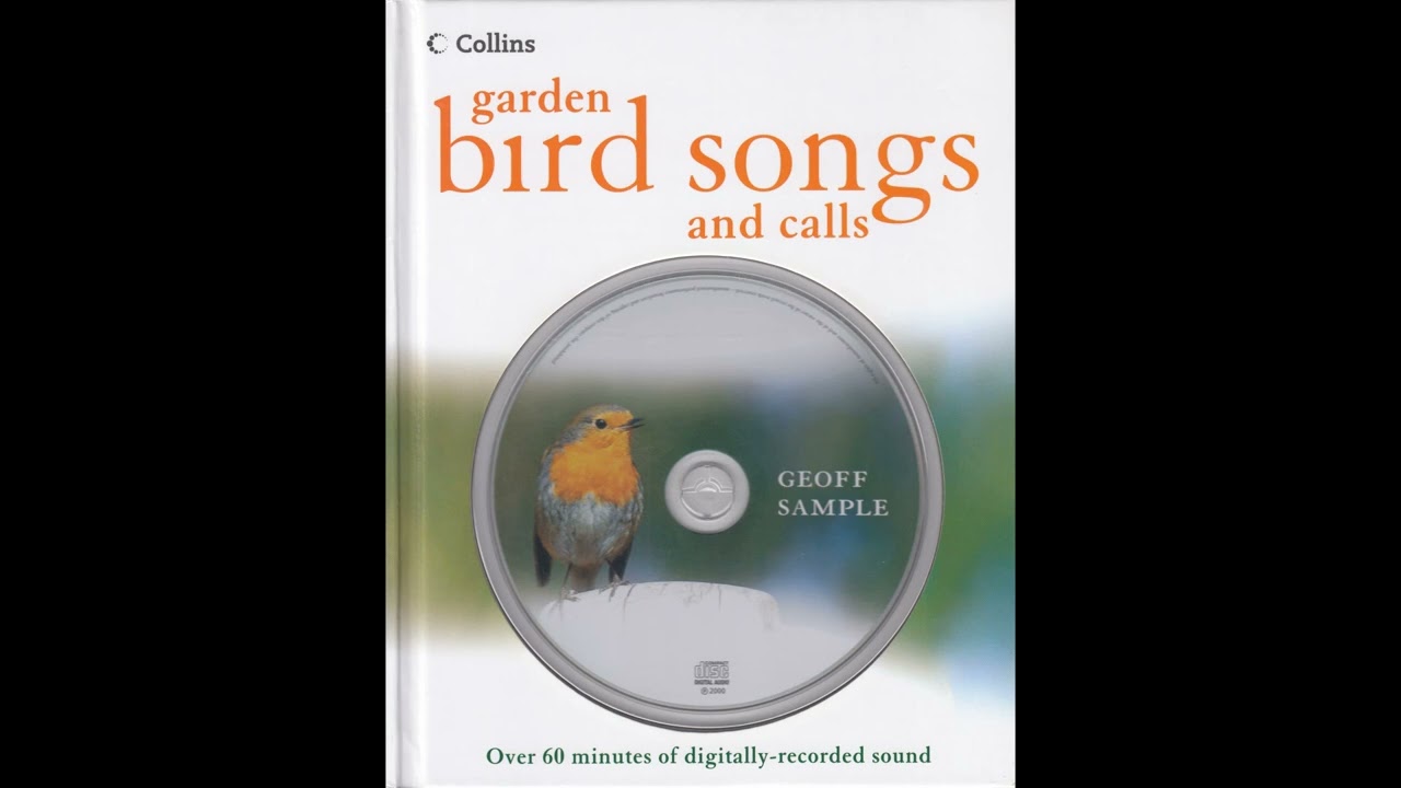 𝗧𝗮𝘄𝗻𝘆 𝗢𝘄𝗹 (𝟴𝟲) 𝘚𝘵𝘳𝘪𝘹 𝘢𝘭𝘶𝘤𝘰 — garden bird songs and calls (C.D.) — Audio