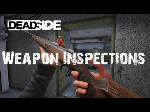 Steam Community :: Video :: Deadside Teaser: Weapon inspections!
