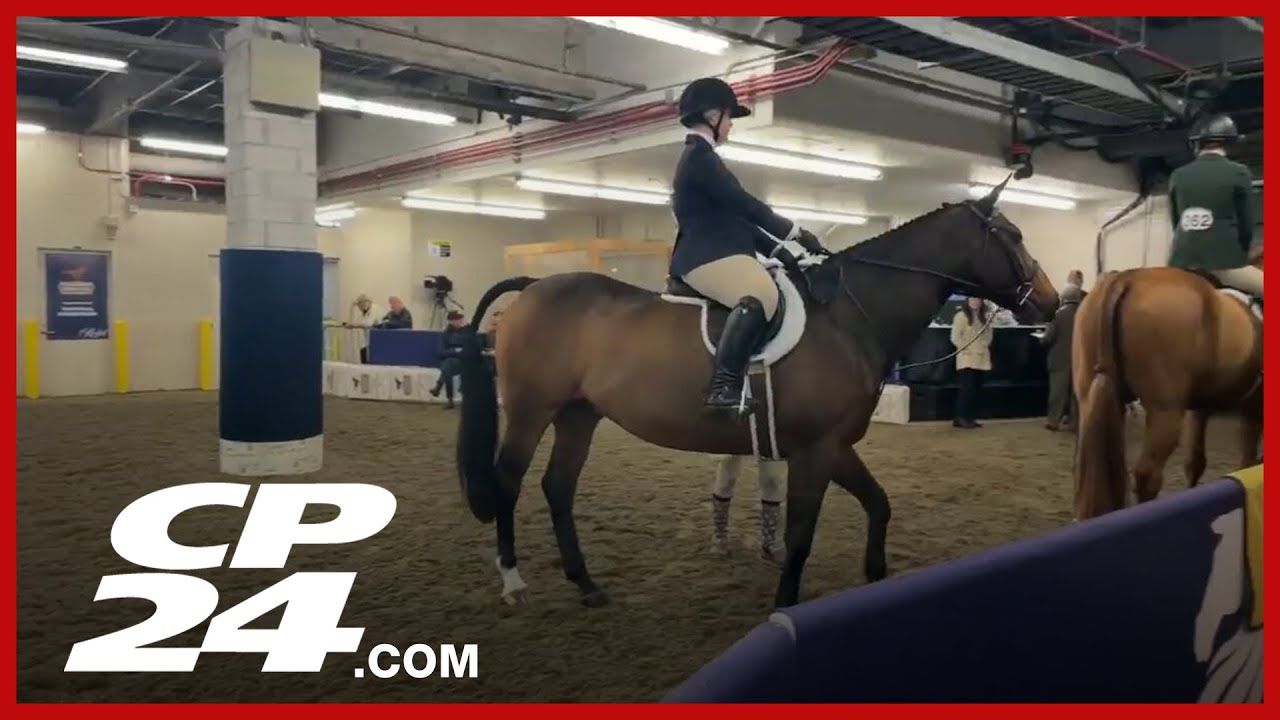 The Royal Agricultural Winter Fair officially begins with events focused on food, farming