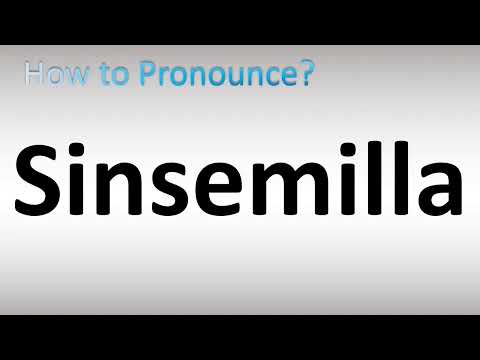 How to Pronounce Sinsemilla