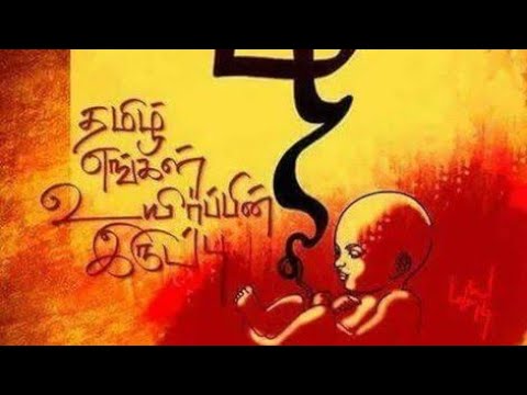தமிழ் மொழியின் சிறப்புகள்||interesting facts about Tamil language||Mjr||#shorts #tamil #language