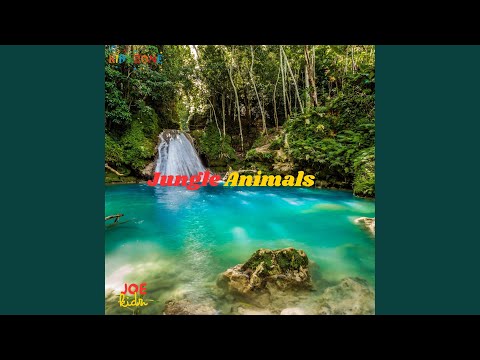 Jungle Animals