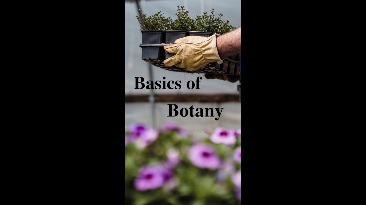 Basic Concepts of Botany : An Introduction to Plant Biology