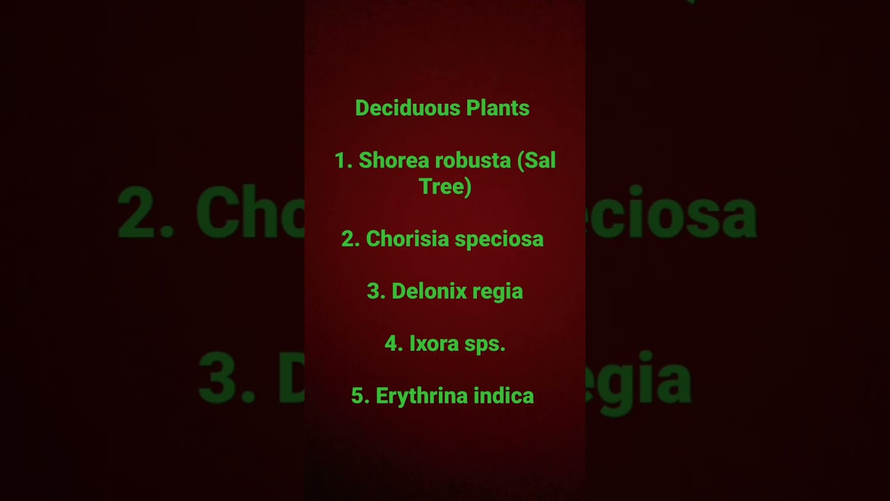 Deciduous Plants