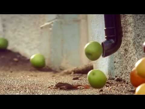Tango - Bravo (2006, UK)