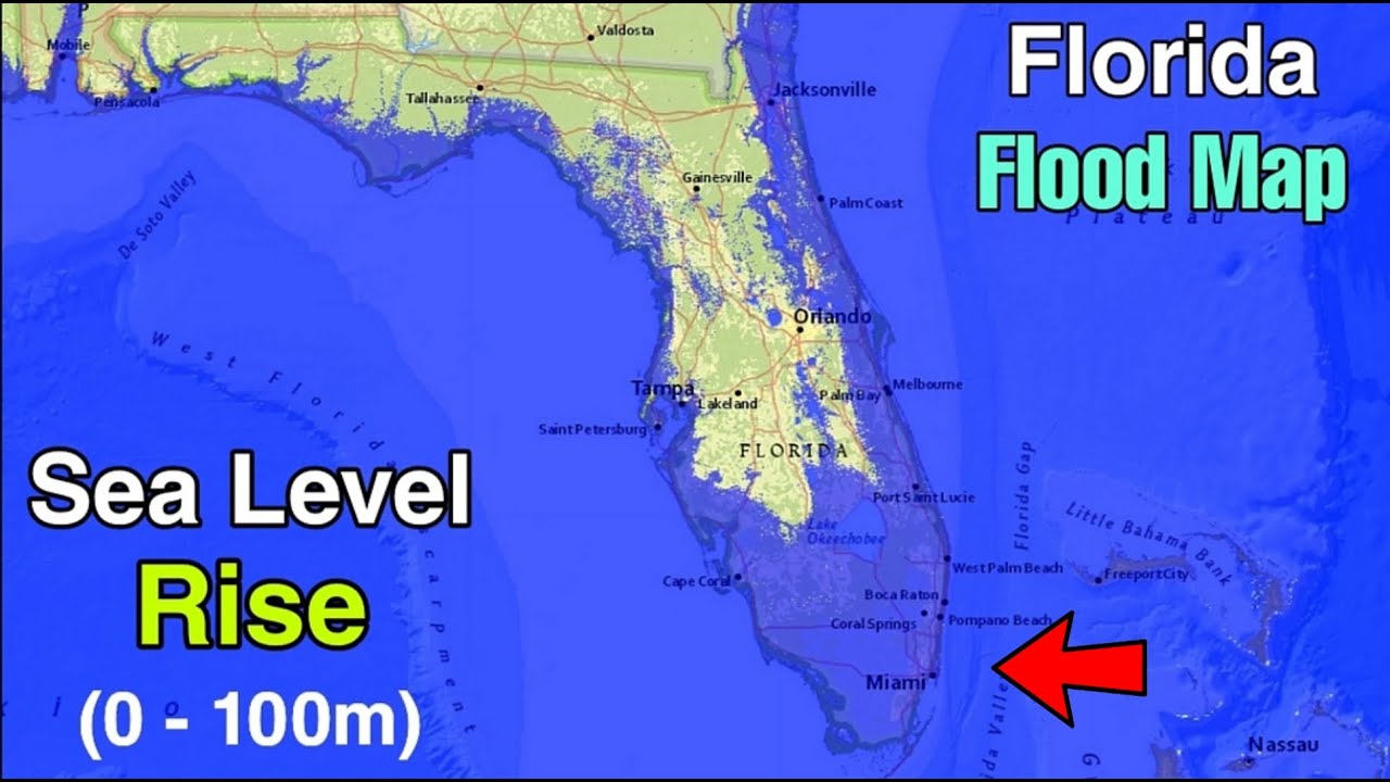 Florida Sea Level Rise Visualization