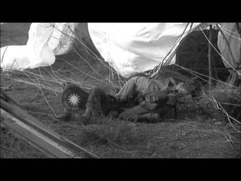 US 503rd Parachute Infantry Regiment paratroopers land from C-47s during the inva...HD Stock Footage